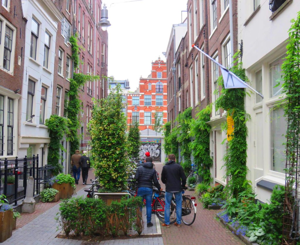 Groen in Secret Village - Weerproof